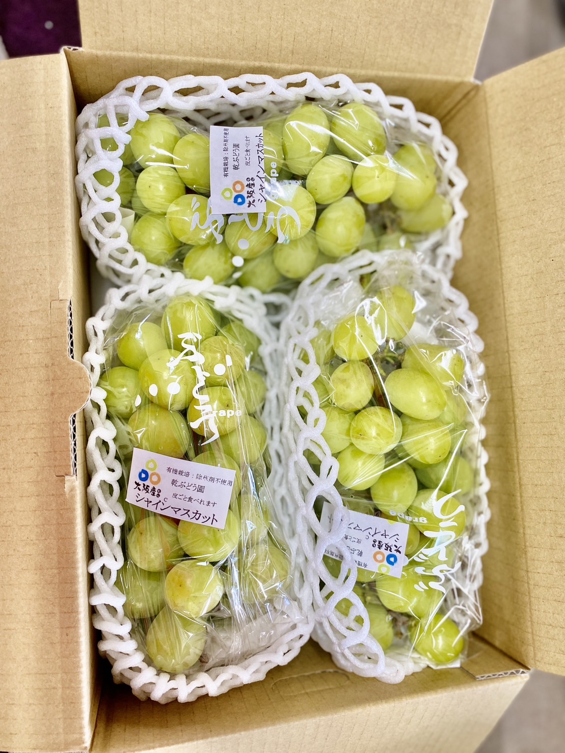 いぬいぶどう園 オンライン直売所 / ぶどう